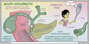 MEDCOMIC Cartoons: Hilarious Medical Learning (Volume 1) | GomerBlog