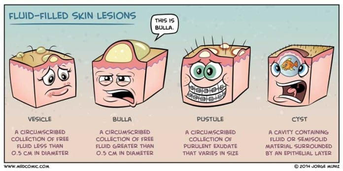 MEDCOMIC Cartoons: Hilarious Medical Learning (Volume 2) | GomerBlog