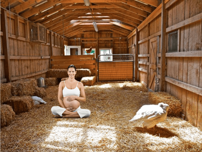 Barn Birthing Centers Gaining Popularity Across Nation | GomerBlog