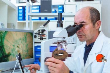 Medical Professions as NFL Teams | GomerBlog